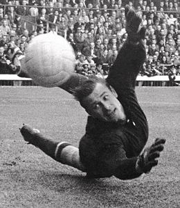 What is 'Yashin Award'?